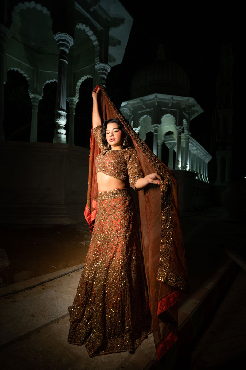 TCR Rust Vintage Bronze embellished Lehenga! – TheClothingRental